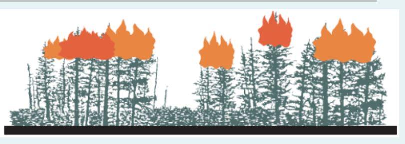 Solved Identify the type of fire shown in the diagram below | Chegg.com