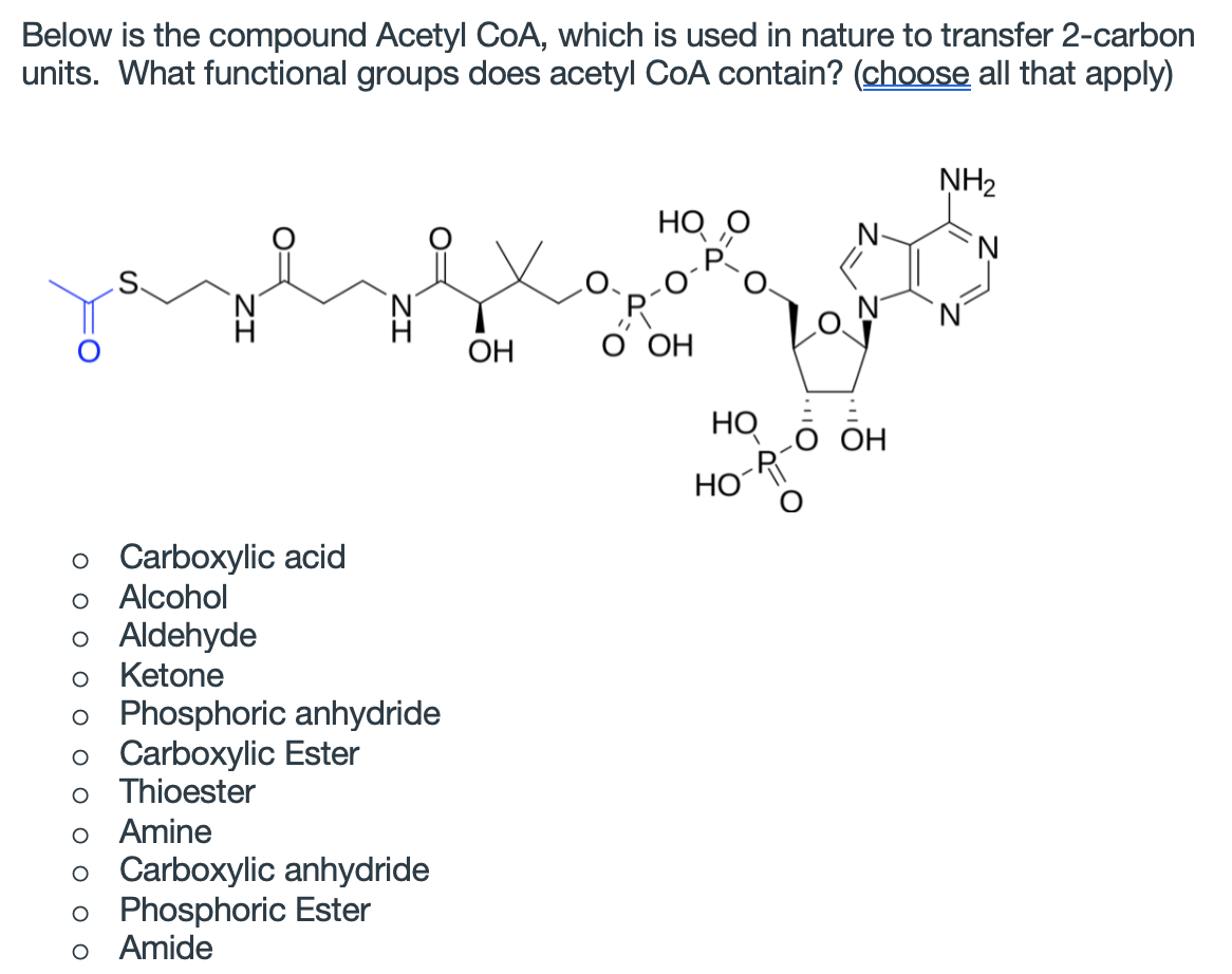 Solved Below is the compound Acetyl CoA, which is used in | Chegg.com