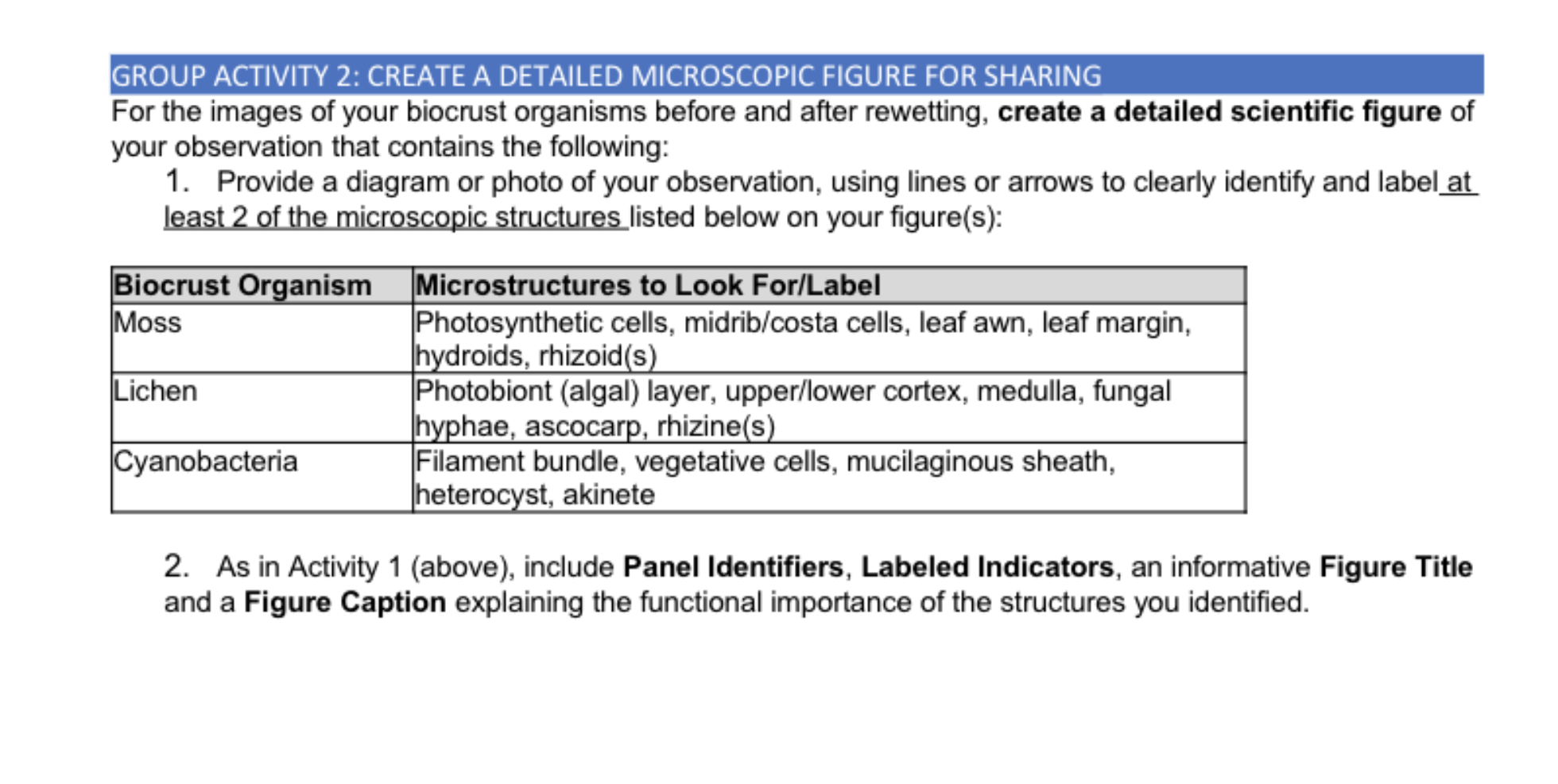 Solved GROUP ACTIVITY 2: CREATE A DETAILED MICROSCOPIC | Chegg.com