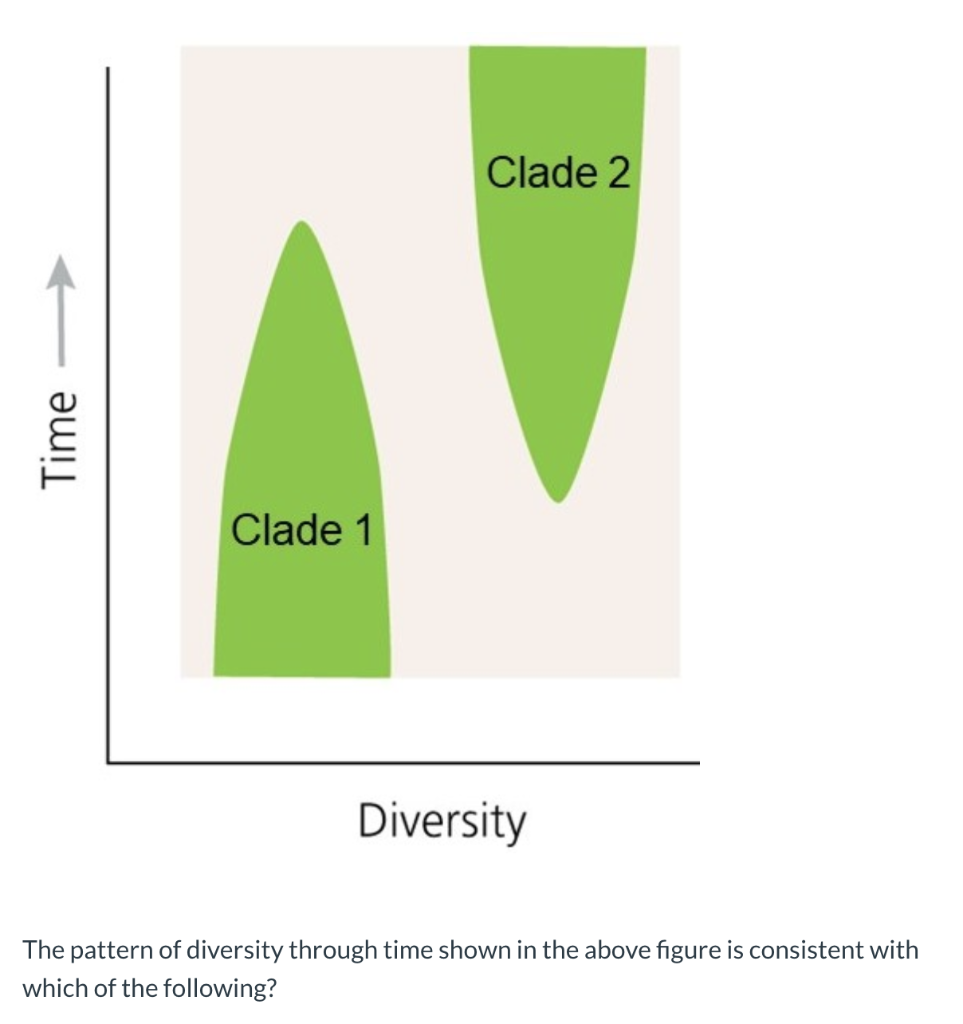 Solved Clade 2 Time Clade 1 Diversity The pattern of | Chegg.com