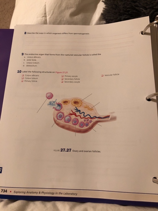 Solved Section Unit 27 Check Your Recall Review 1 Label The 