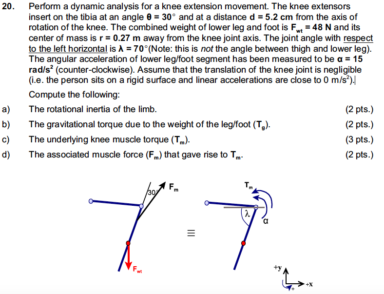 Solved 20. Perform a dynamic analysis for a knee extension | Chegg.com