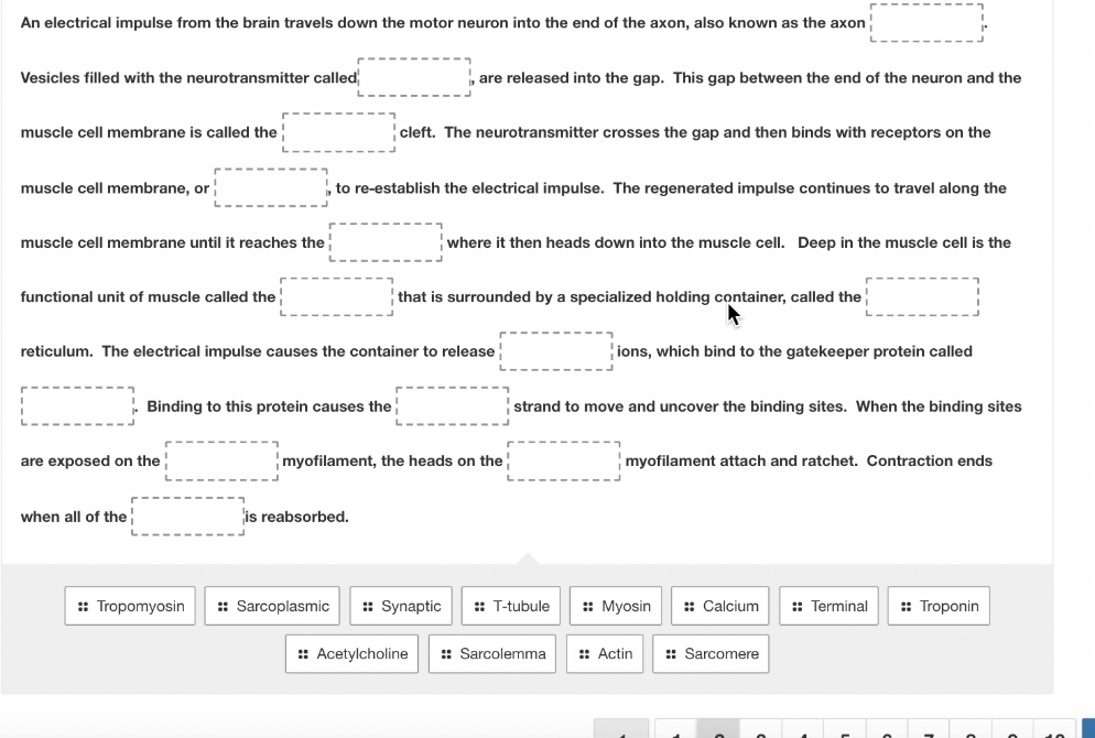 [Solved]: An electrical impulse from the brain travels dow