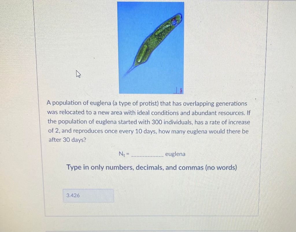Solved also tried 2400 and was not correct the image shows | Chegg.com