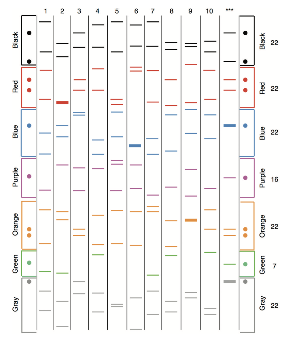 Solved b. One of individuals 1–10 is aneuploid. Write the | Chegg.com