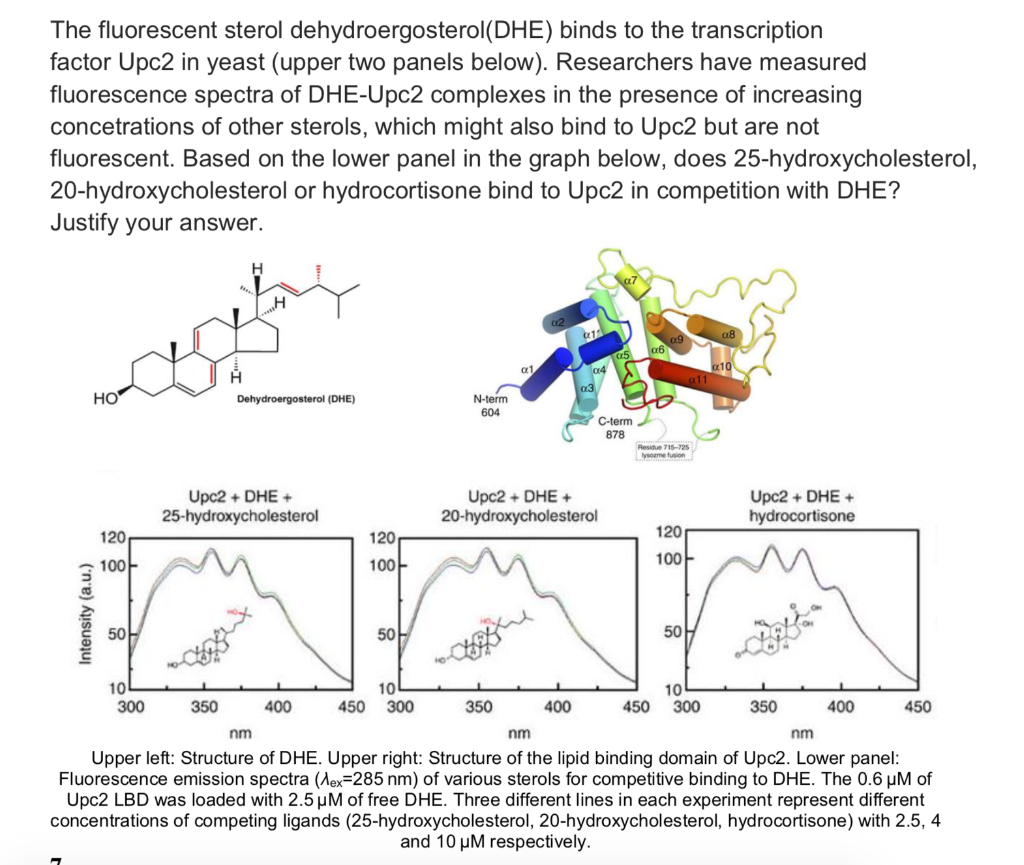 Solved The fluorescent sterol dehydroergosterol(DHE) binds | Chegg.com