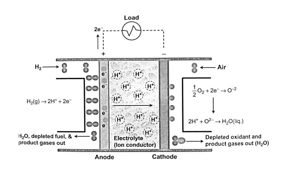 Solved The following hydrogen/oxygen fuel cell. The | Chegg.com