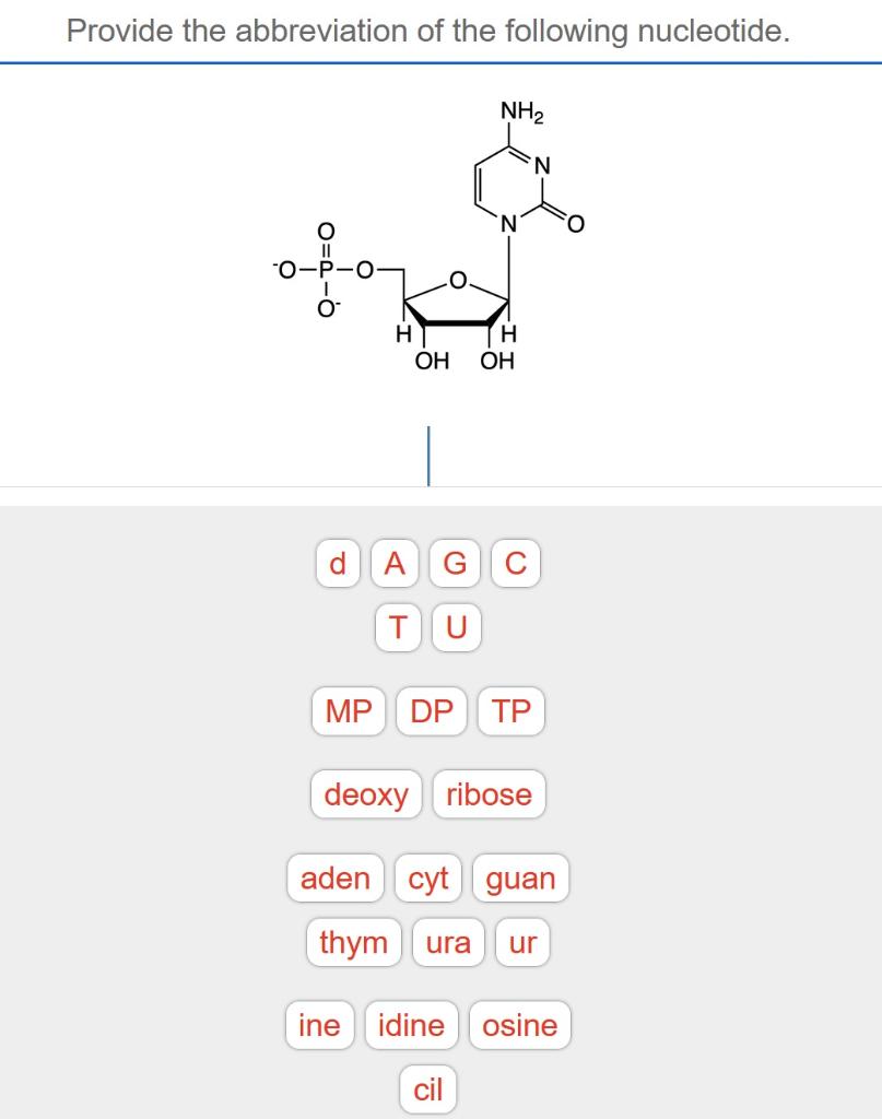 Solved Provide the abbreviation of the following nucleotide. | Chegg.com