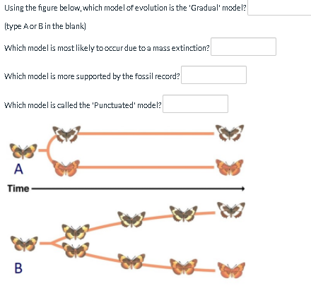 Solved Using the figure below, which model of evolution is | Chegg.com