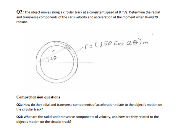 Solved Comprehension questionsQ2a How do the radial and | Chegg.com