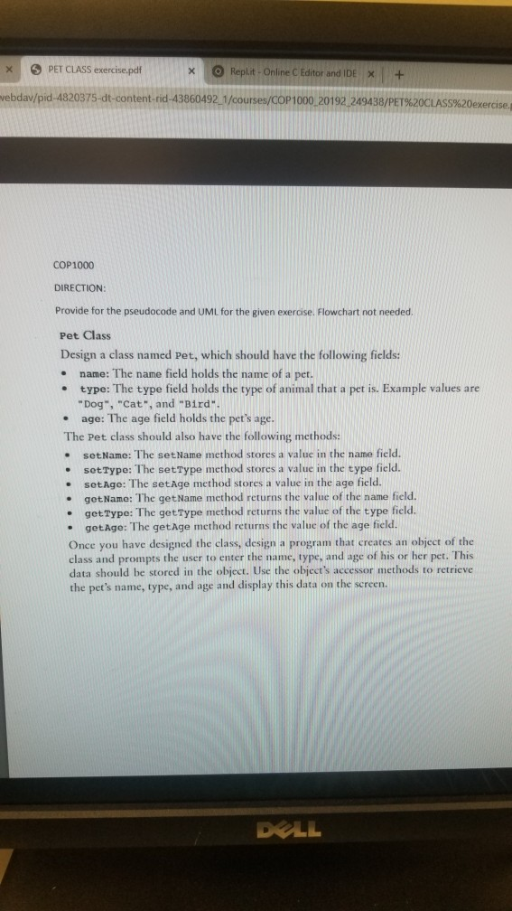 Solved 10) Repl.it-Online C Editor and IDE X PETCLASS | Chegg.com