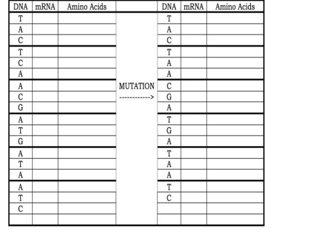 Solved Q1. Just from looking at the Normal DNA sequence and | Chegg.com