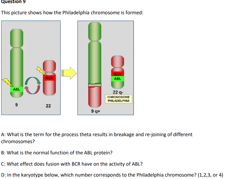 Solved Question 9 This picture shows how the Philadelphia | Chegg.com