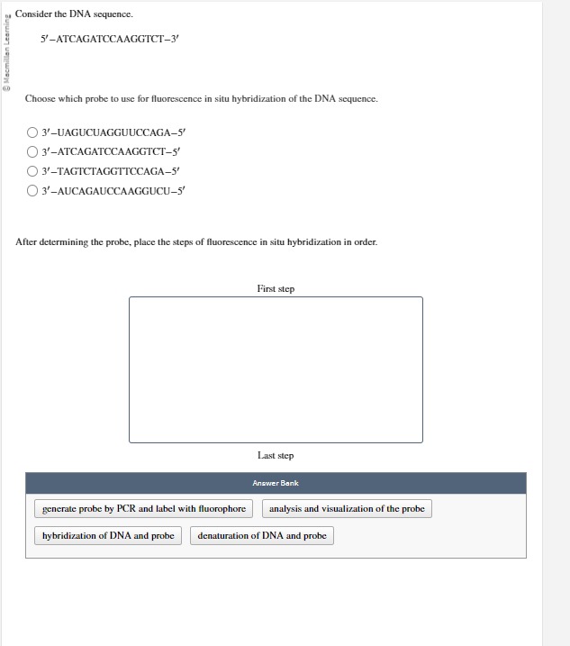 Solved Consider the DNA | Chegg.com