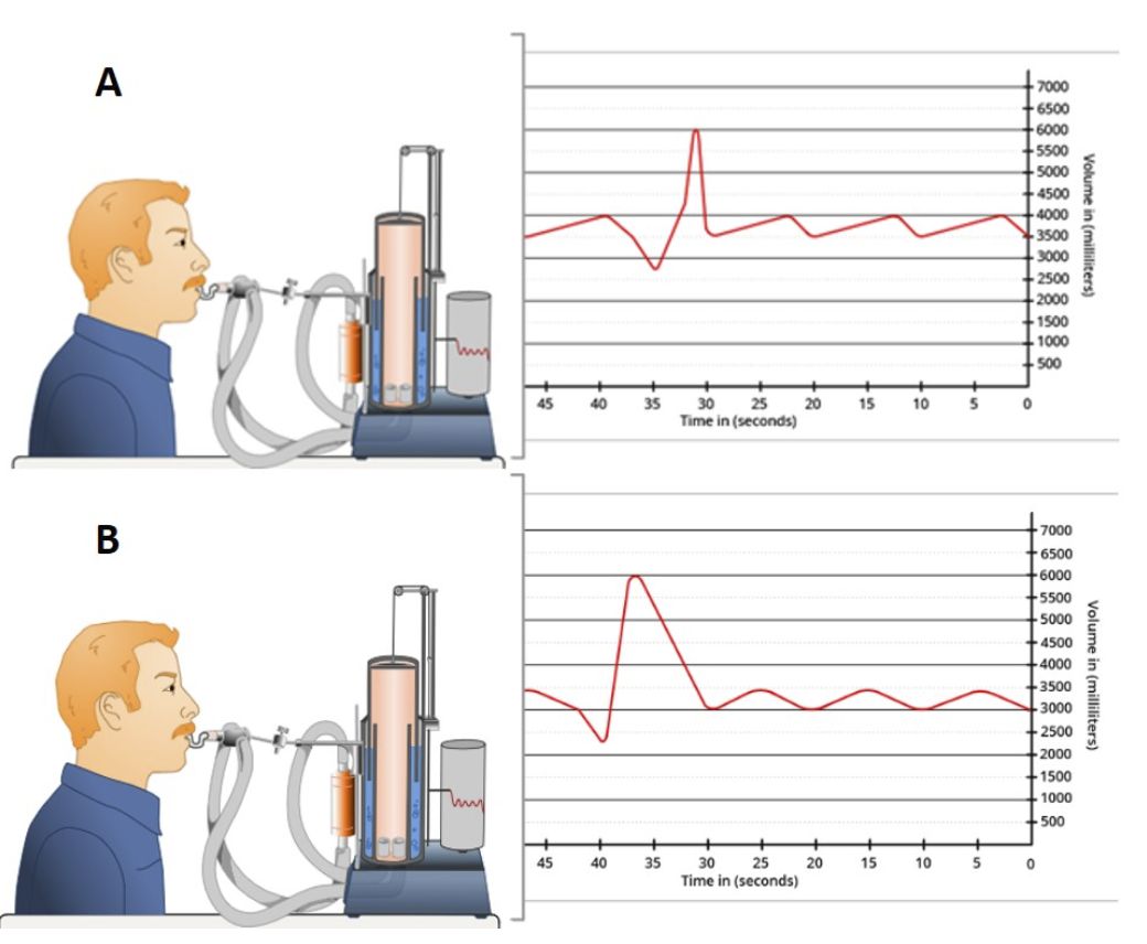 Solved Comparative Spirometry i) When comparing pulmonary | Chegg.com