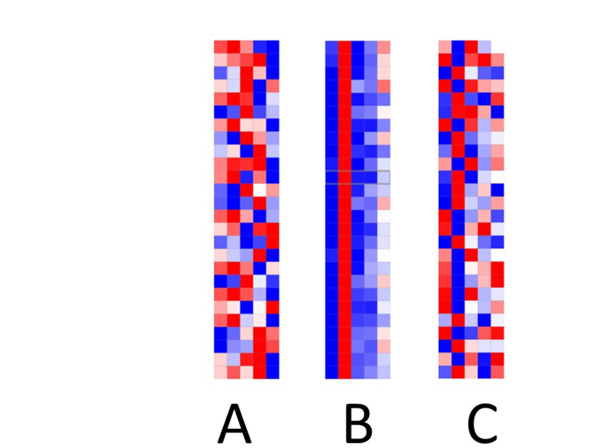 Morpheus allows you to visualise your data in the | Chegg.com