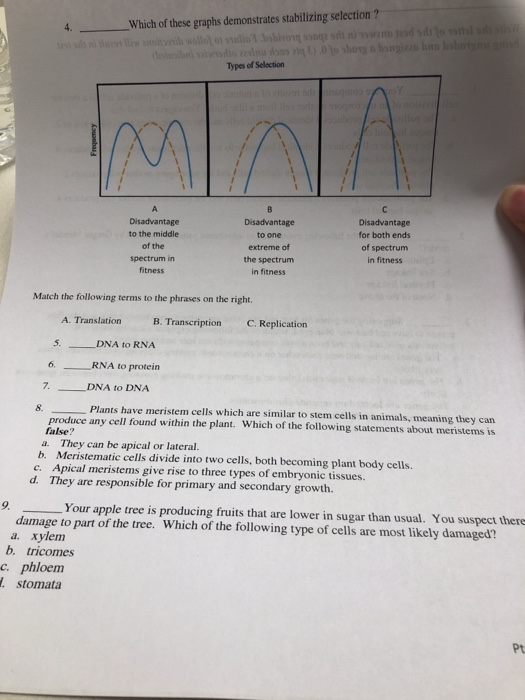 Solved Which of these graphs demonstrates stabilizing | Chegg.com