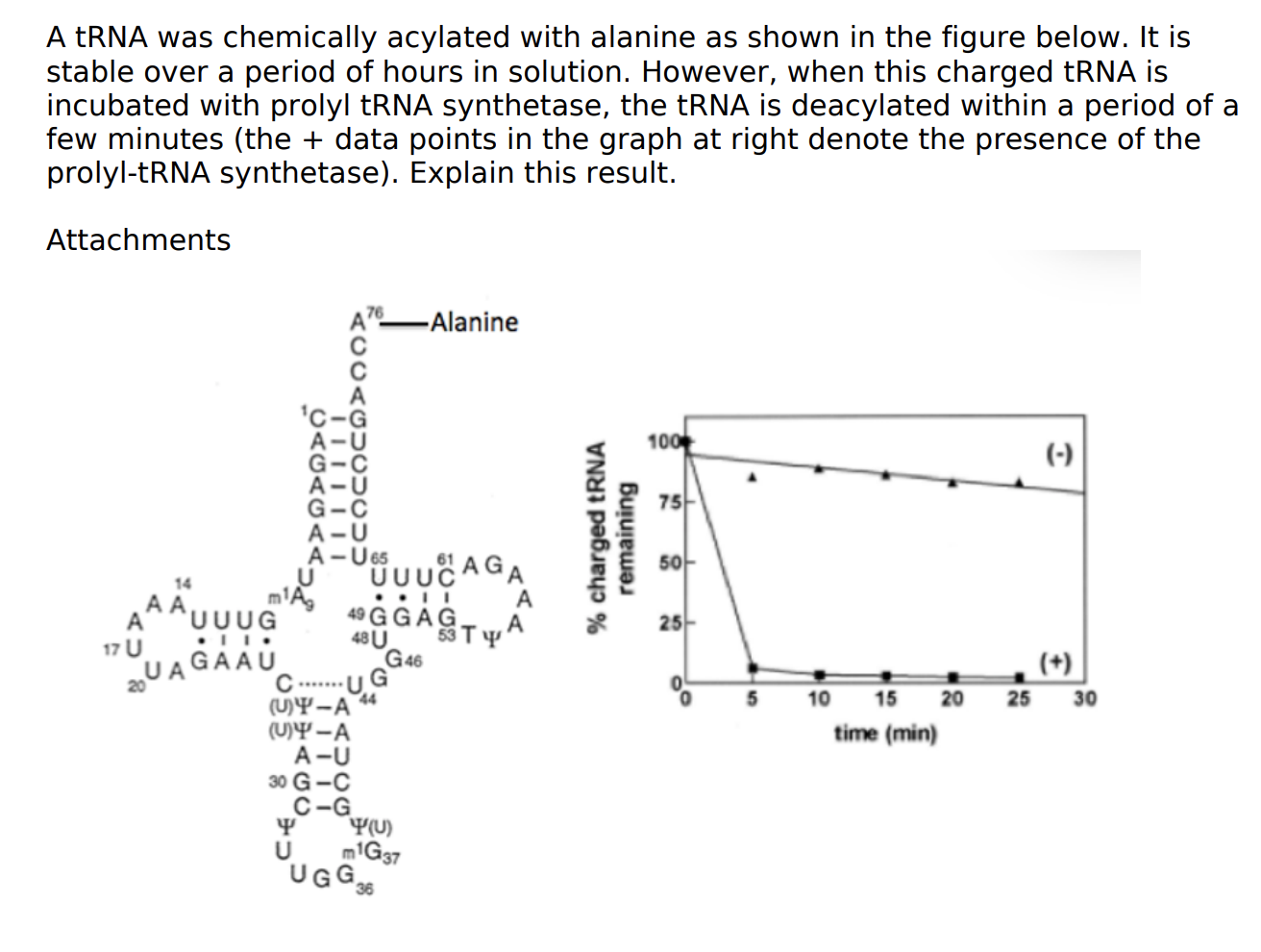 Solved A tRNA was chemically acylated with alanine as shown | Chegg.com