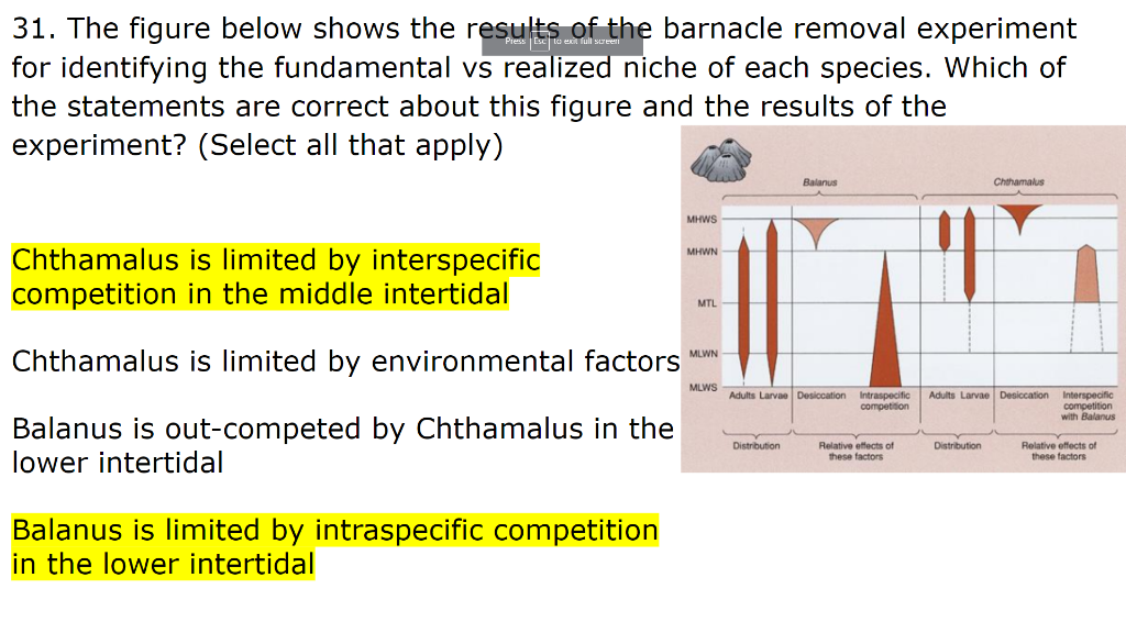 Solved Balanus balanoides larvae settle throughout | Chegg.com