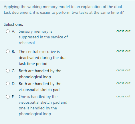 Solved Applying the working memory model to an explanation | Chegg.com