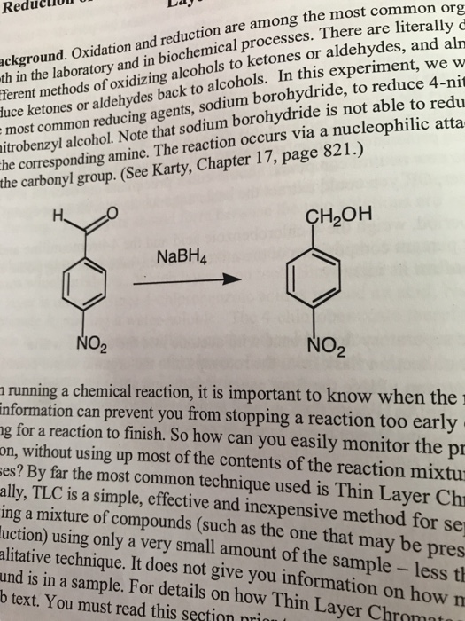 Solved In this lab we started out with 0.2 g of | Chegg.com