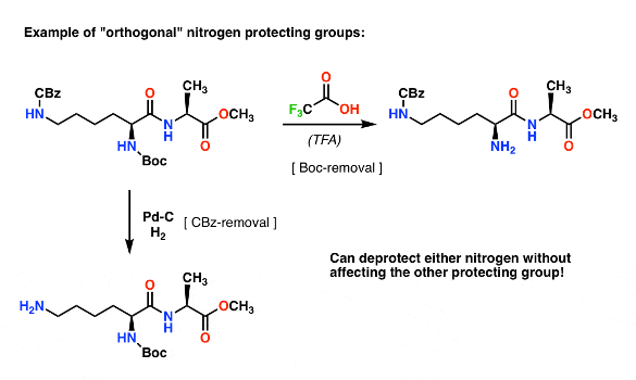 Solved Draw the reaction mechanism for deprotection of BOC | Chegg.com