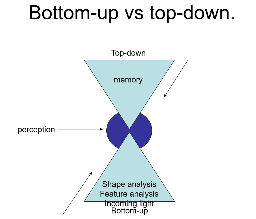 Solved Part A. Referring to terms perception, sensation, | Chegg.com