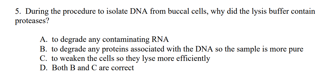 Solved 5. During the procedure to isolate DNA from buccal | Chegg.com