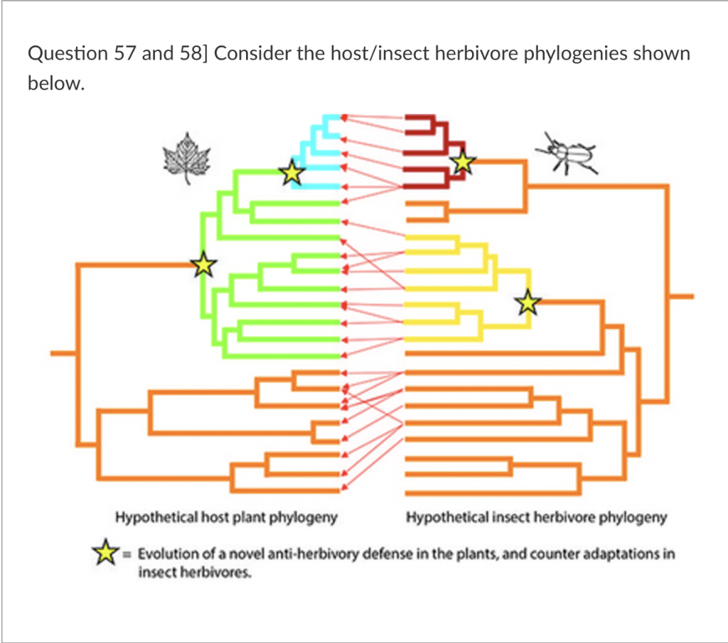 Solved Question 57 and 58] Consider the host/insect | Chegg.com