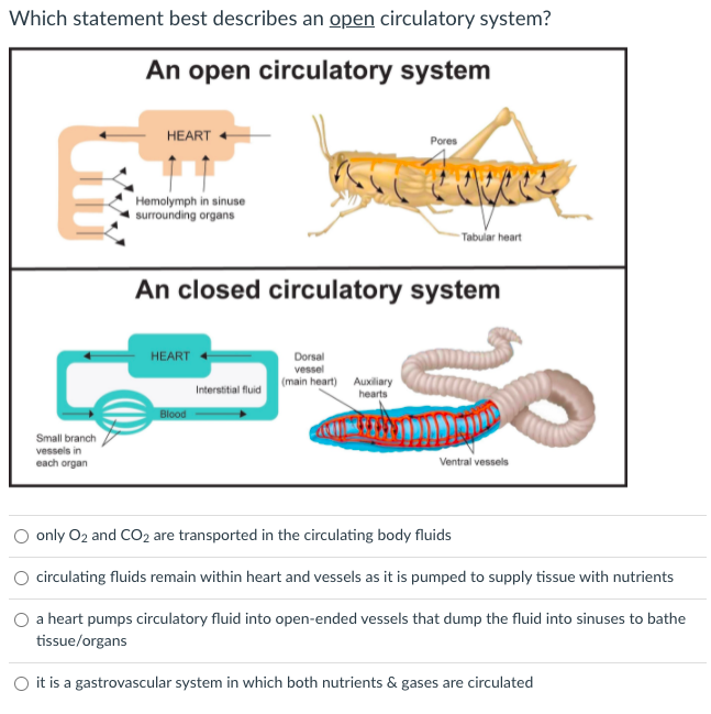 Solved Rabbits consume their own “pre-feces," or cecotropes. | Chegg.com