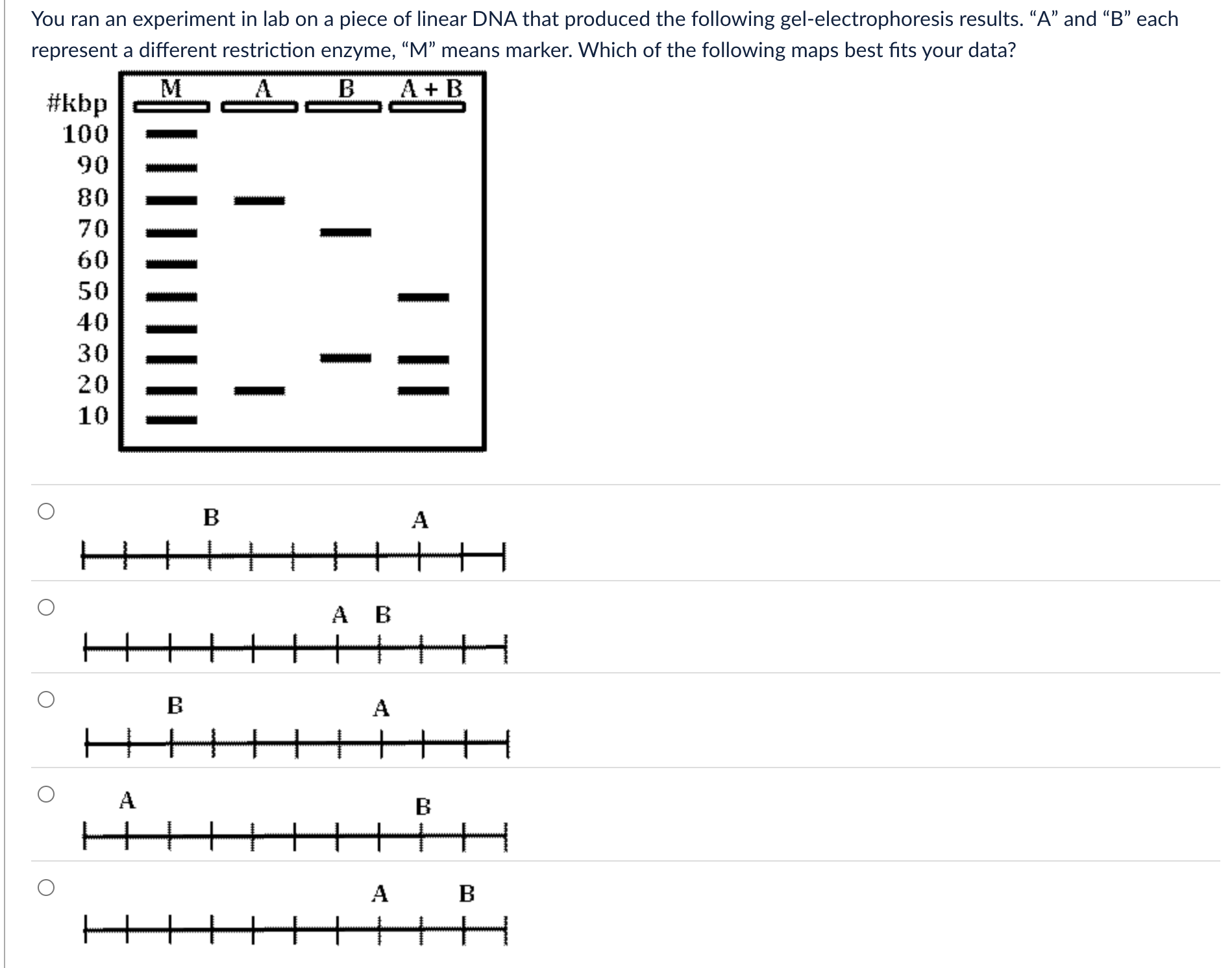 Solved You ran an experiment in lab on a piece of linear DNA | Chegg.com