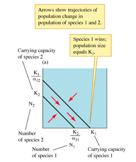 Complete the Competition Diagram. Predict the | Chegg.com