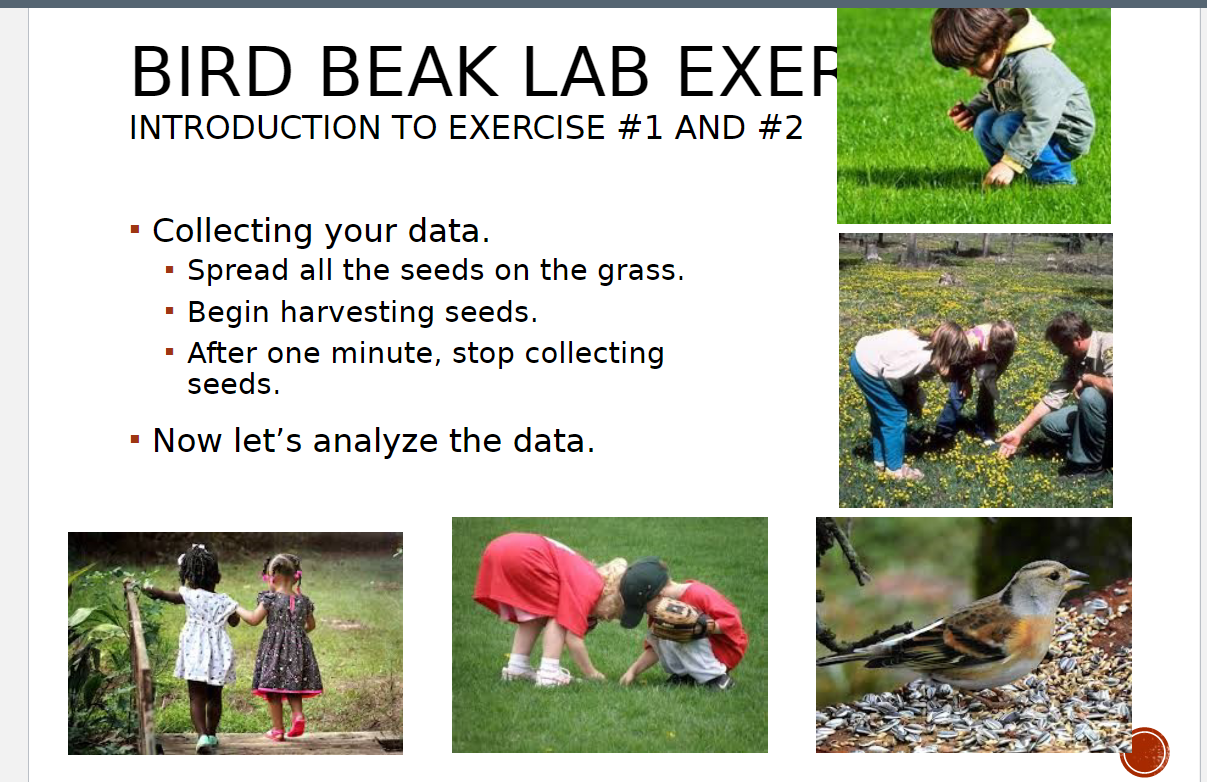 NATURAL SELECTION - Bird Beaks vs Seed Type Data | Chegg.com