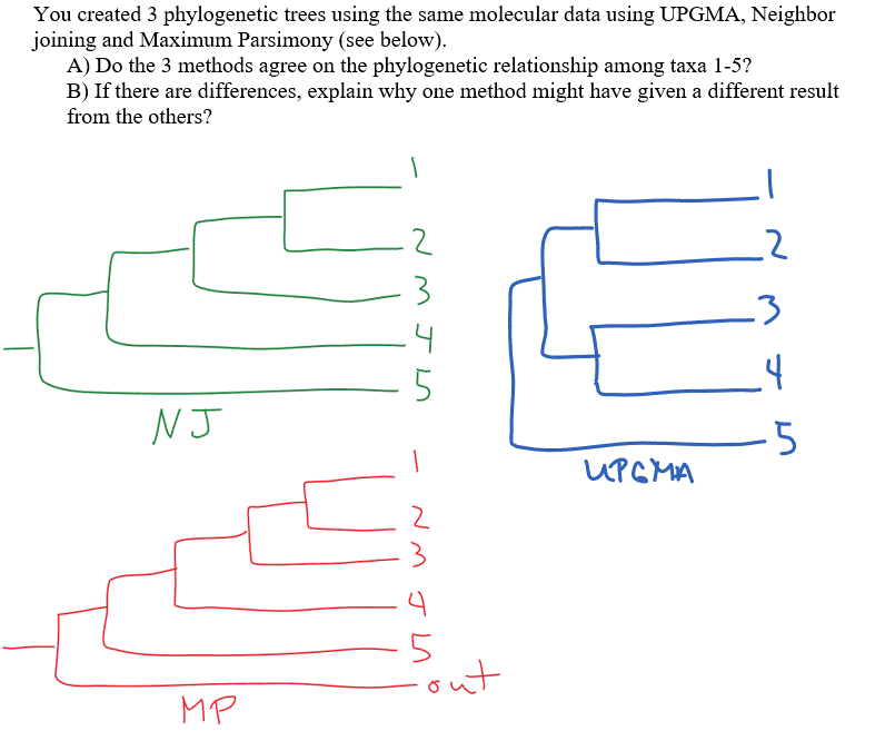 Solved You created 3 phylogenetic trees using the same | Chegg.com