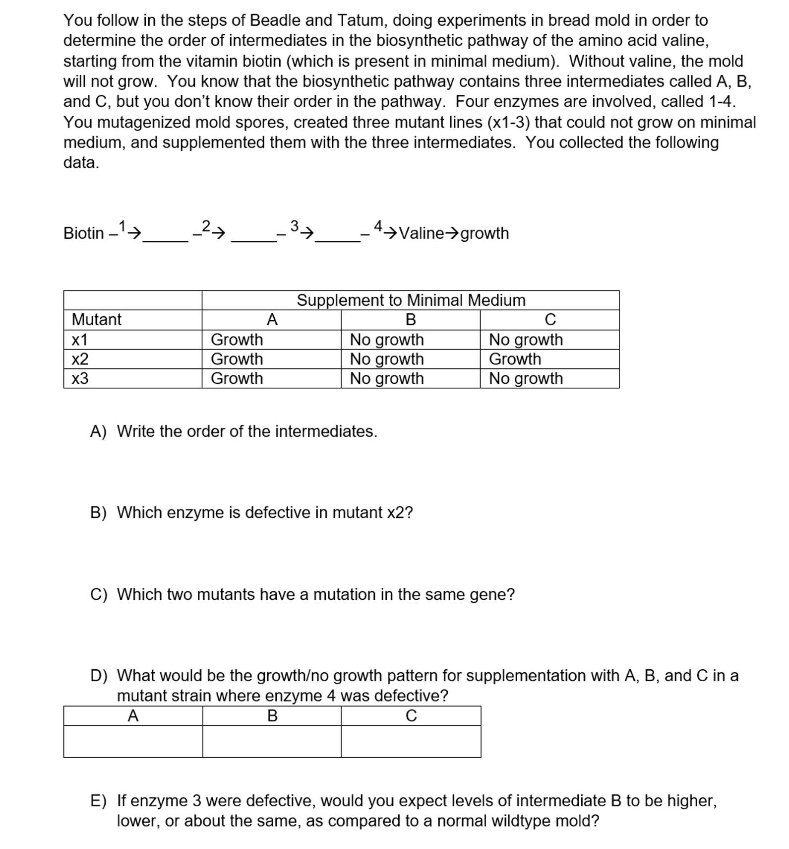 Solved You follow in the steps of Beadle and Tatum, doing | Chegg.com