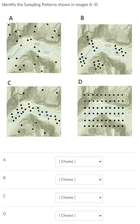 Solved Identify the Sampling Patterns shown in images A-D A | Chegg.com