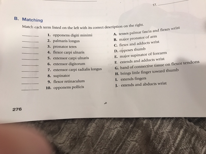 Solved Match each term listed on the left with its correct | Chegg.com