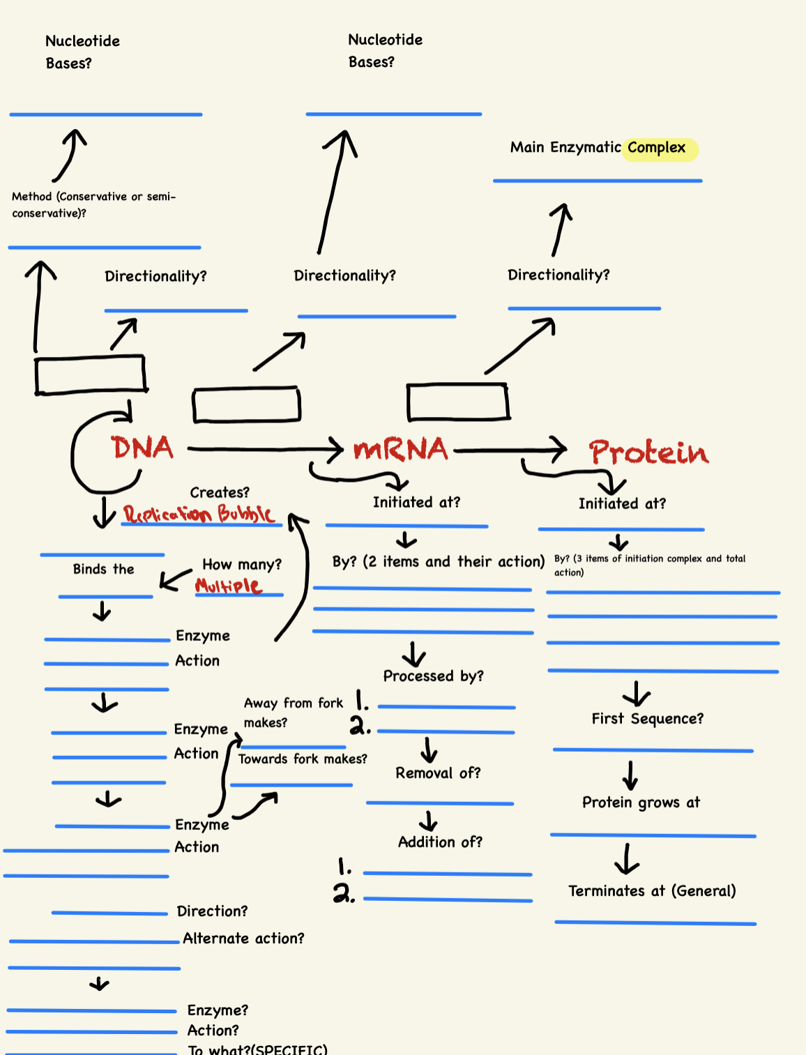 Solved Nucleotide Bases? Nucleotide Bases? ↑ Method | Chegg.com