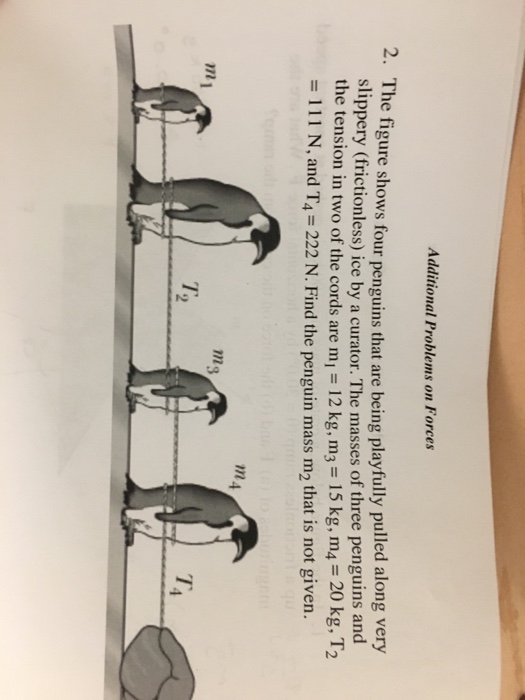 Solved The figure shows four penguins that are being | Chegg.com