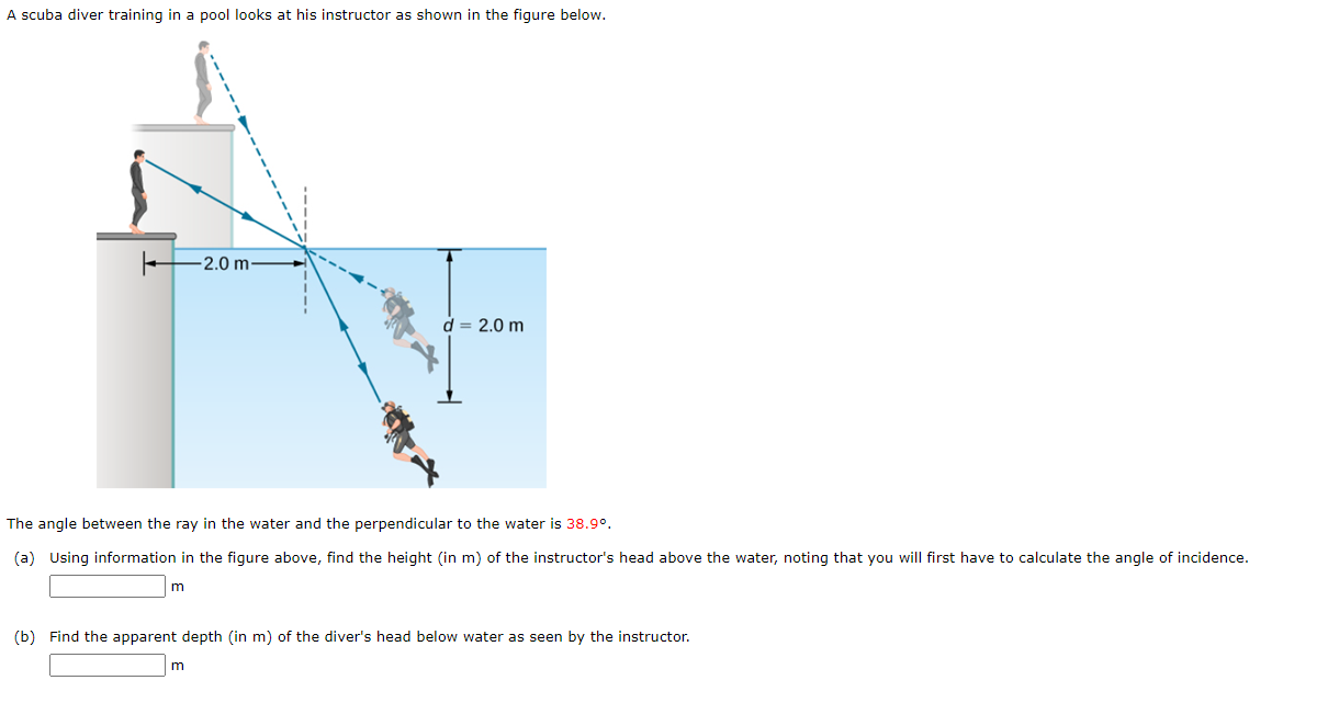 Solved A scuba diver training in a pool looks at his | Chegg.com