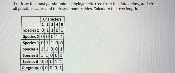 Solved 19. Draw the most parsimonious phylogenetic tree from | Chegg.com