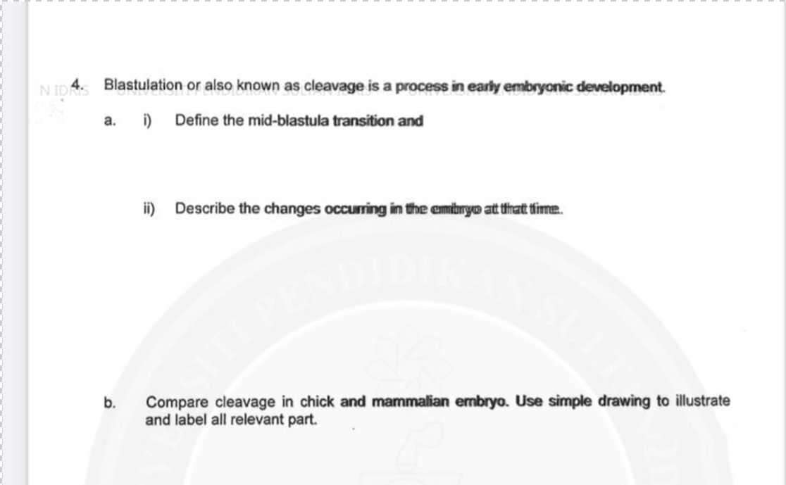 Solved 4. Blastulation or also known as cleavage is a | Chegg.com