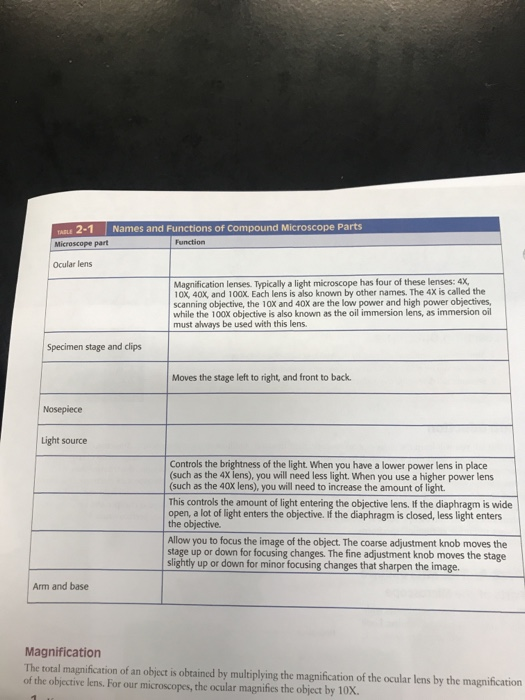Solved TABLE 2-1 Names and Functions of Compound Microscope | Chegg.com