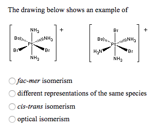 Solved The drawing below shows an example of NH+ Bthi.h NHa | Chegg.com