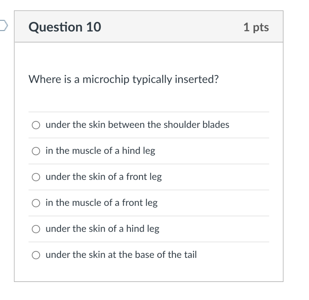 Solved Question 10 1 pts Where is a microchip typically | Chegg.com