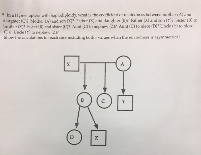 Solved 5. In a Hymenoptera with haplodiploidy, what is the | Chegg.com