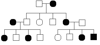 Solved Q1.) Which statement is most accurate for the trait | Chegg.com