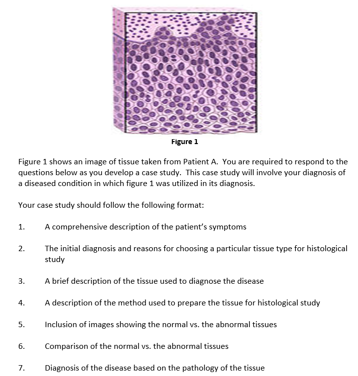 Solved Can someone help me with answering all the questions | Chegg.com