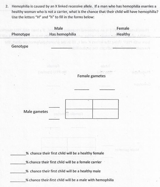 Solved 2. Hemophilia is caused by an X linked recessive | Chegg.com