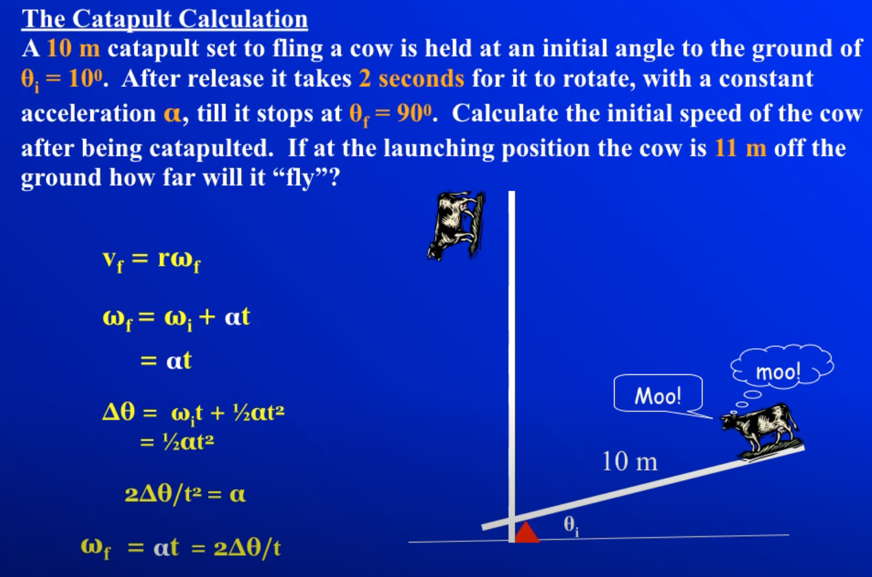 Solved The Catapult Calculation A 10 m catapult set to fling | Chegg.com